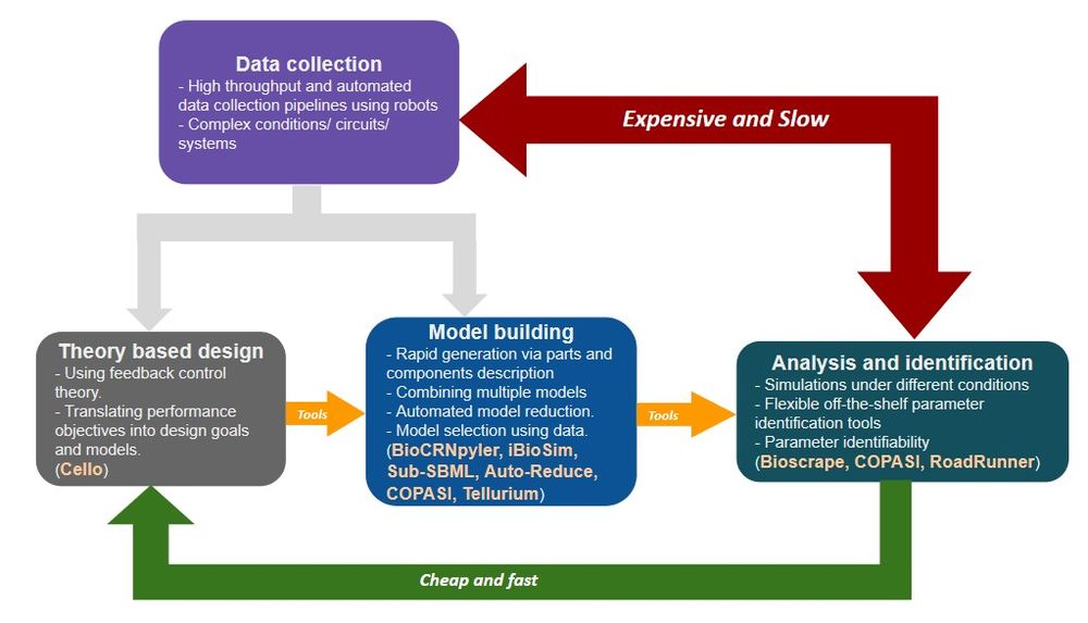 SURF 2021: Modeling tools for design and analysis of synthetic biological circuits - Murray Wiki